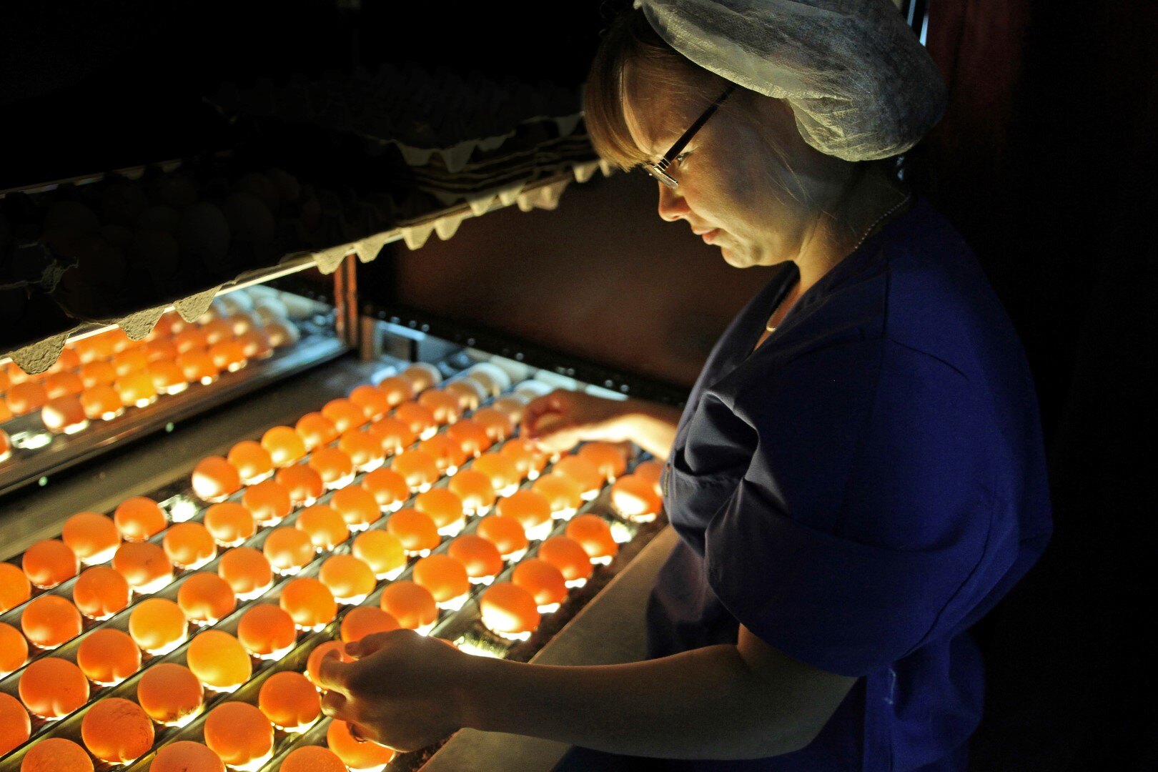 Candling - Vencomatic Group